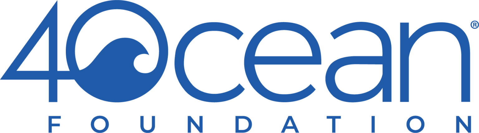 Charitable Partner Spotlight: 4ocean Foundation - Fill it Forward